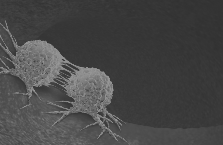 Our Research | UNSW Cellular Genomics Futures Institute